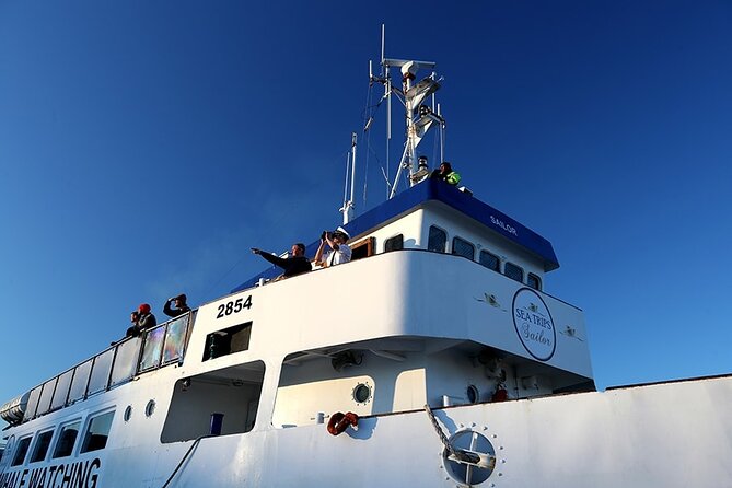 Whale Watching and Marine Life Tour in Reykjavik - Recommendations for Visiting Families