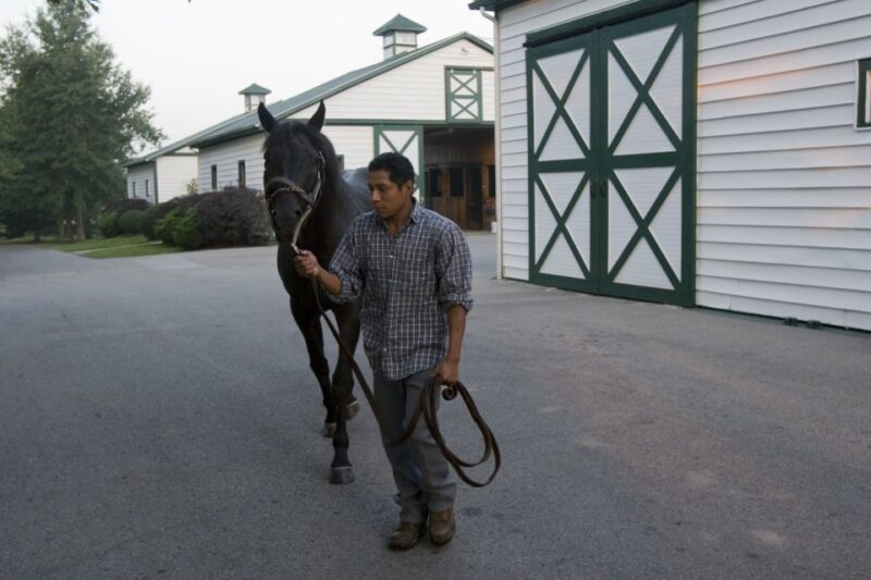 Lexington: Thoroughbred Horse Farm Tour and Scenic Bluegrass - Who Will Love This Tour?