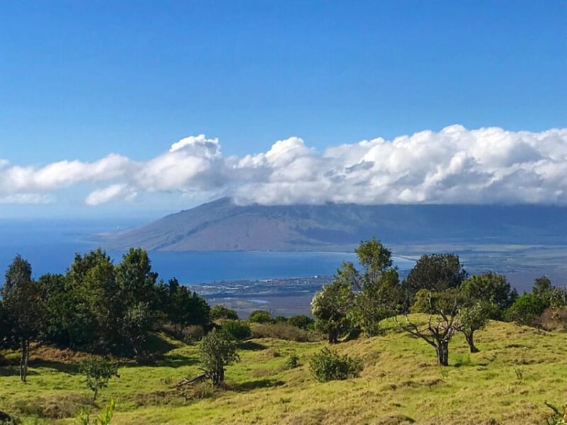 Maui: Custom Elite Tour with Escalade & Meals - FAQ