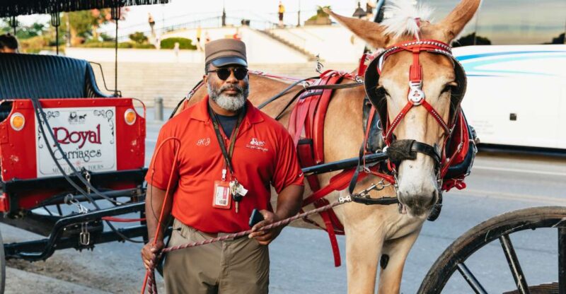 New Orleans: French Quarter Sightseeing Carriage Ride - The Sum Up