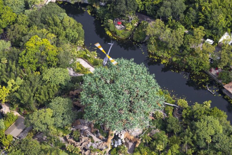Orlando: Narrated Helicopter Flight Over Theme Parks - Final Thoughts: Is It Worth It?