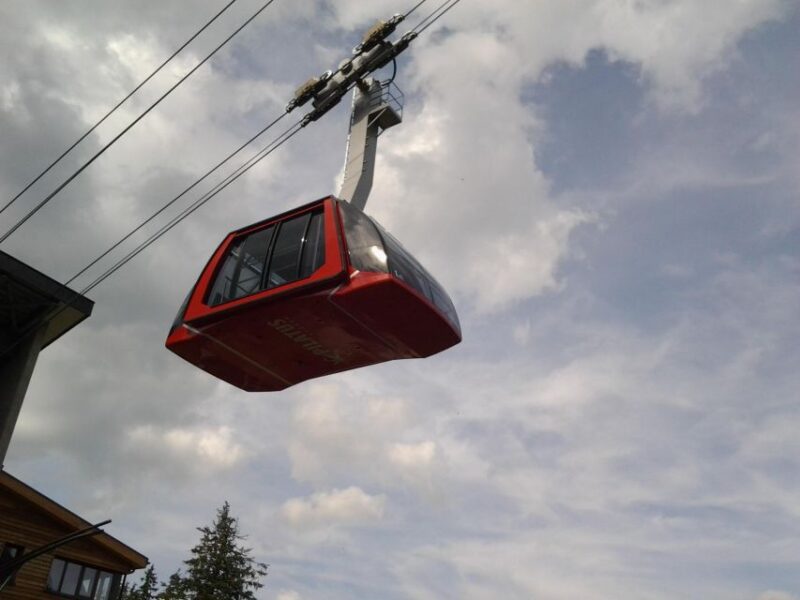 Winter Panorama Mount Pilatus: Small Group Tour From Luzern - Since You Asked