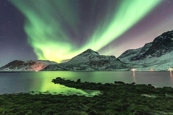 Adults Only Aurora Hunt Tour in Tromso - Key Points