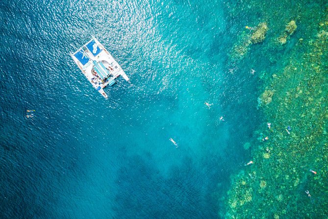 Afternoon West Maui Snorkel from Ka’anapali Beach - Key Points