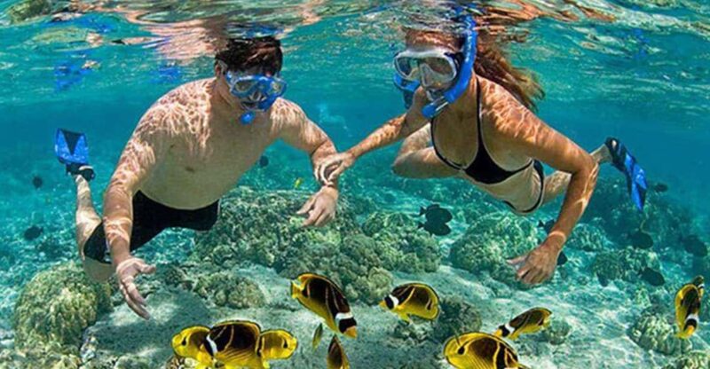 Amazing Snorkeling at Cham Island - Key Points