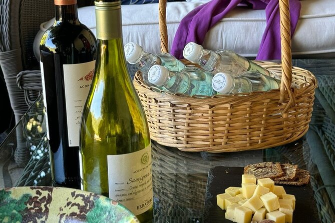 Andes Portillo & Aconcagua Premium Vineyard Tasting Semi Private - Key Points