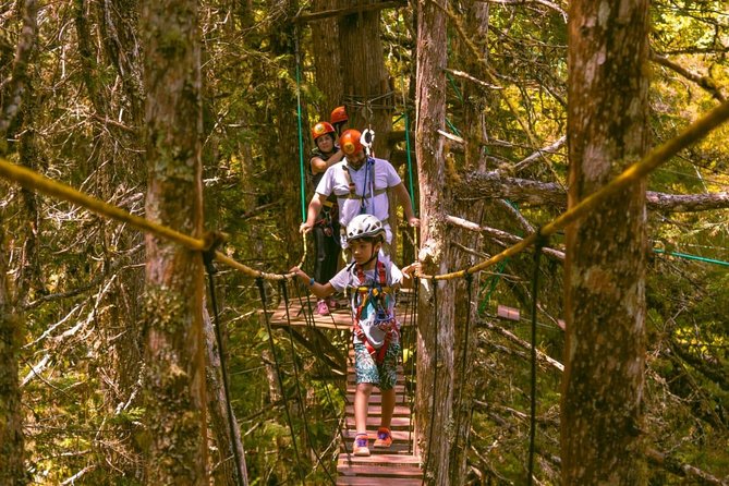 Arborism in Horto Florestal - Campos Do Jordão - Key Points
