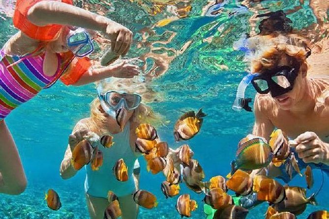 Bali Snorkeling at Blue Lagoon with Transport and Lunch - Introduction