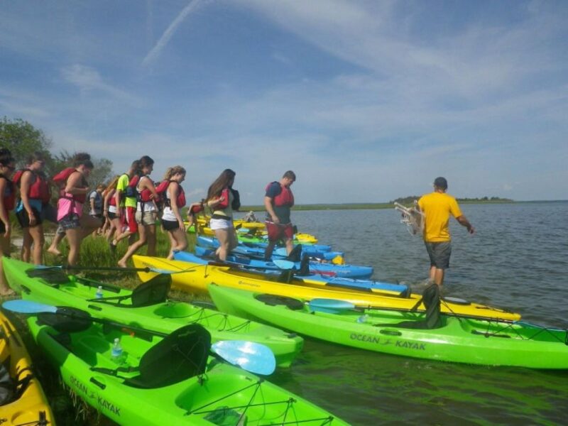 Berlin: Assateague Island Wildlife Discovery Kayak Tour - Exploring the Assateague Island Wildlife Discovery Kayak Tour