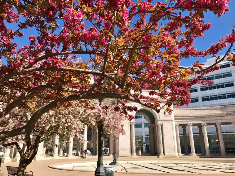 Best of Denver Walking Tour - Key Points