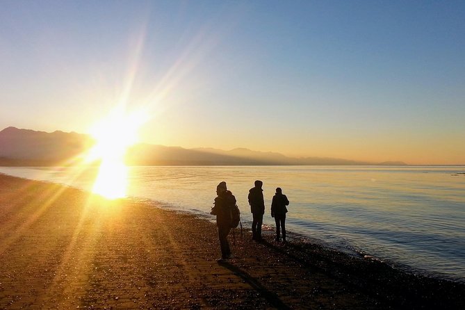 Best of Olympic National Park from Seattle: All-Inclusive Small-Group Day Tour - What the Tour Includes and What It Means for You