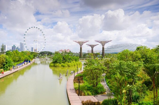 Big Bus Singapore Night Tour with Gardens by the Bay Light Show - Key Points