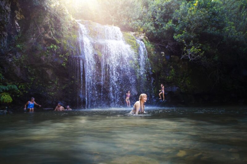 Big Island: Full Day Adventure Tour of the Kohala Waterfalls - Key Points