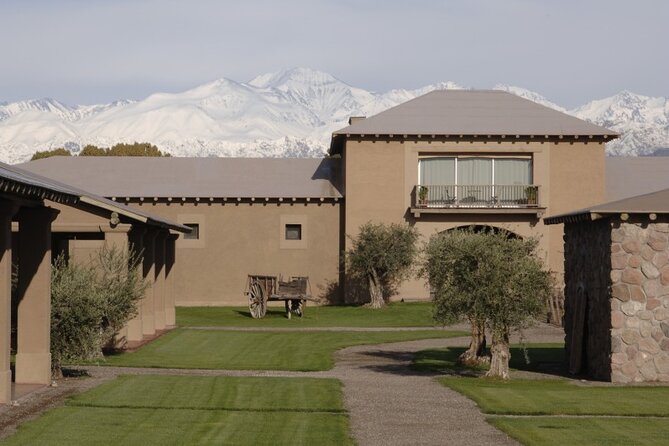 Bike Tour in Mendoza Wine Country - Key Points