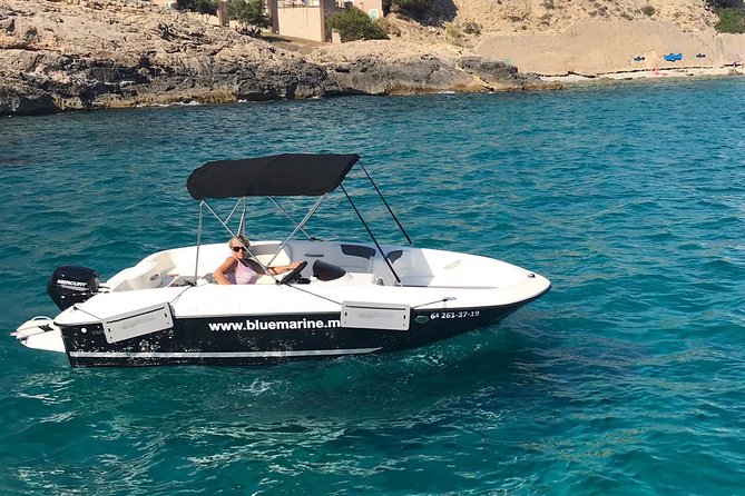 Bluemarine.Me License Free Bayliner Element E5 Rental - Key Points