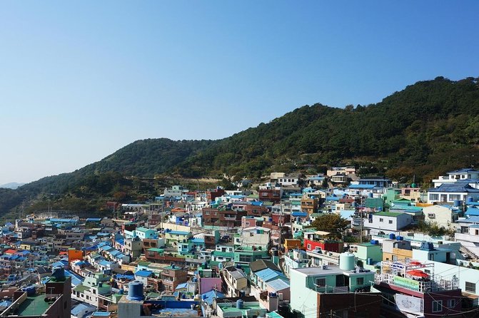Busan Full-Day City Tour with Gamcheon Village, Sea Temple & more - Introduction
