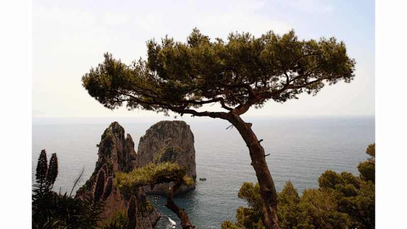 CAPRI: DAILY TRIP WITH FREE TIME IN THE ISLAND - Exploring the Hidden Alleys of Capri