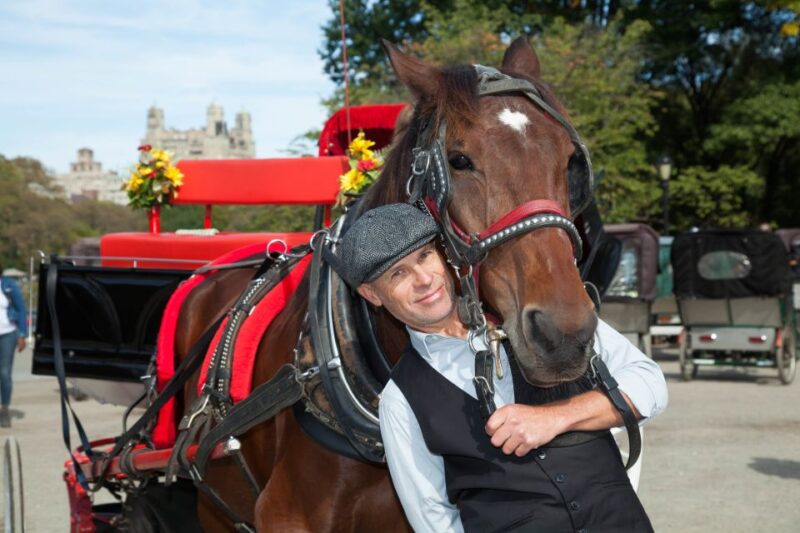 Central Park: Short Horse Carriage Ride (Up to 4 Adults) - Key Points
