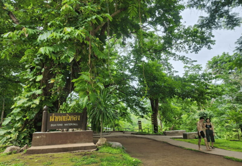 Chiang Mai: Sticky Waterfall, Bua Tong Cave Join Tour - What Is the Chiang Mai Sticky Waterfall and Bua Tong Cave Tour?