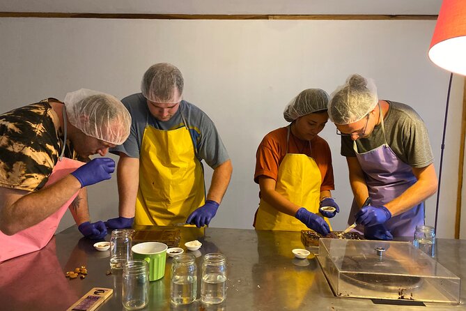 Chocolate Making and Tasting at a Local Factory in San José - Discovering the Cacao Beans Transformation