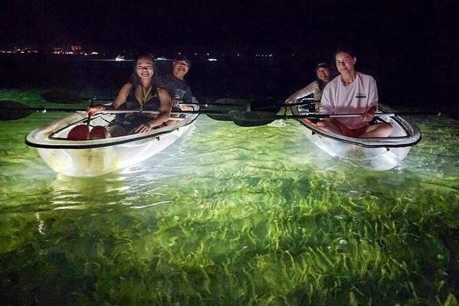 Clear Kayak LED Night Glass Bottom Tour - Siesta Key, FL - Tour Overview and Experience