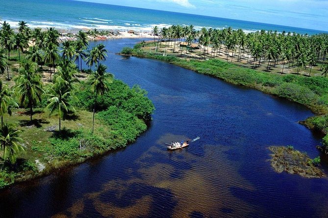 Coastal Wonders: Itacimirim and Imbassaí - Key Points