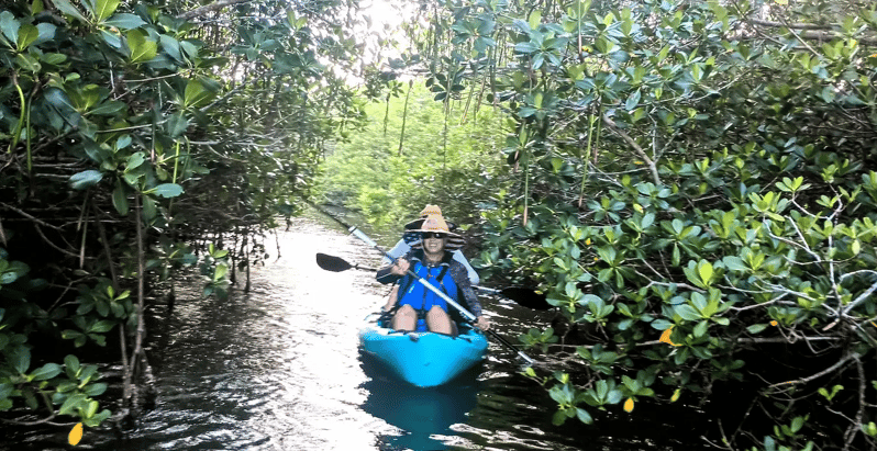 Cocoa Beach/Merritt Island: Guided Dolphin and Manatee Tour - Key Points