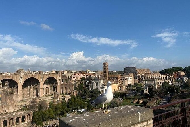 Colosseum Admission With Roman Forum & Palatine Hill Access - Key Points