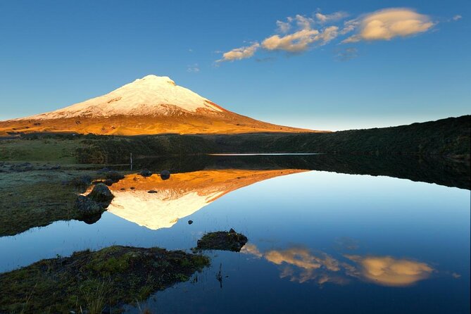 Cotopaxi Tour From Quito - Key Points