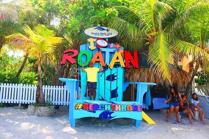 Cruise Ship Family Chocolate Factory, Sloths & Monkeys, Beach, Transportation - Key Points