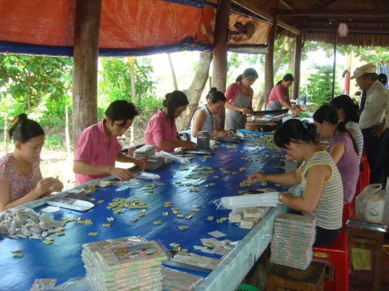 Cu Chi Tunnels and Mekong Delta 1 Day Tour With Small Group - Key Points