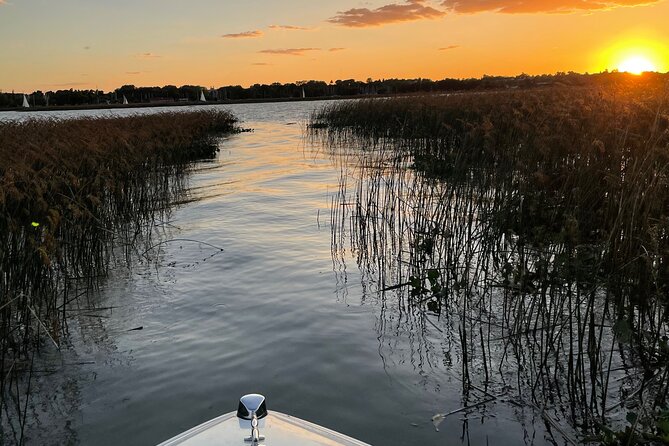 Customized Tigre Delta Tour Lunch and Drink Included - Key Points