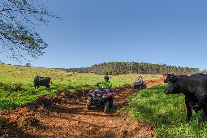 Deluxe ATV Waterfall and Swim Experience - Overview of the Deluxe ATV Waterfall and Swim Experience