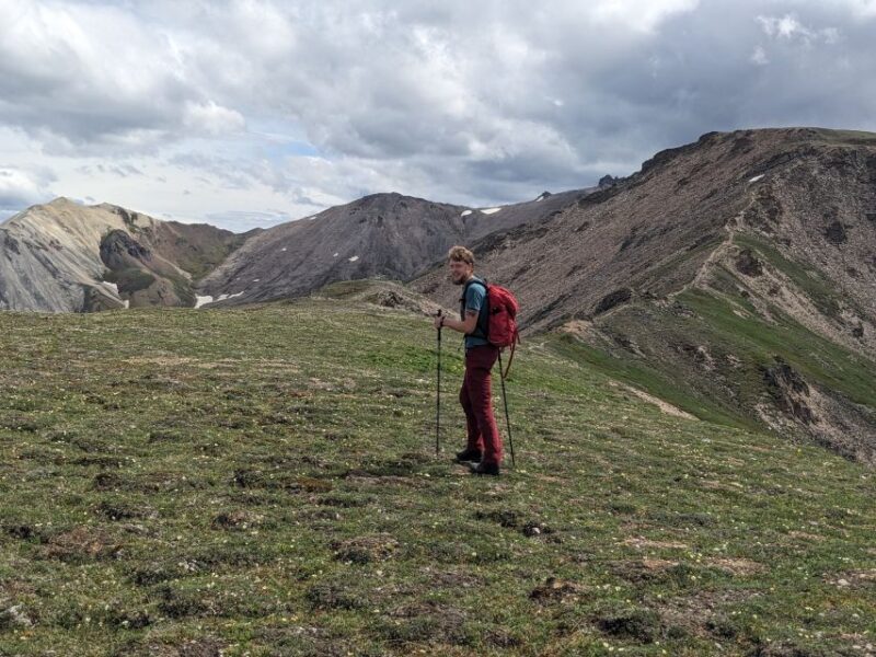 Denali: 5 Hour Guided Into The Mountains Hiking Tour - Key Points