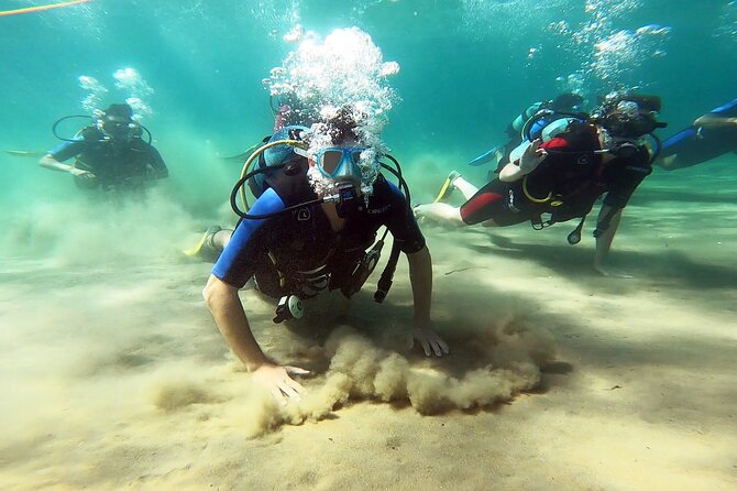 Discover Scuba Diving Experience in Nea Makri, Athens - Key Points