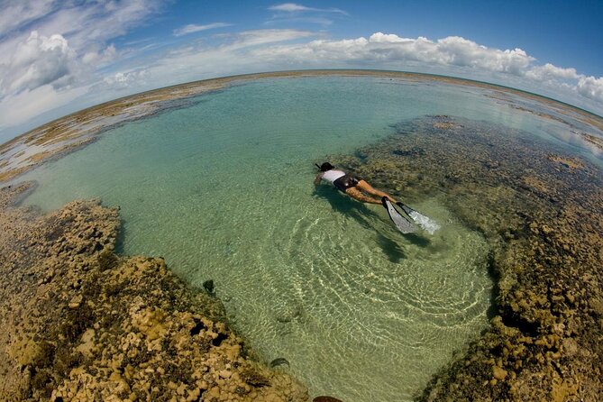 Discover Underwater Beauty: Explore Maracajaús Parrachos Reef - Key Points