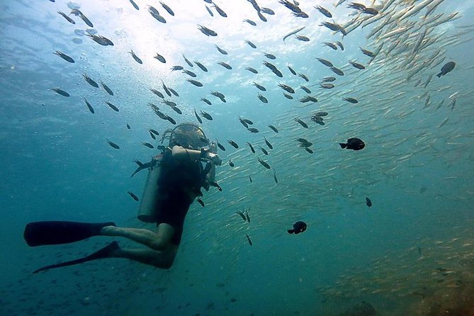 Diving at Koh Chang, daytrip with 2 dives - Key Points