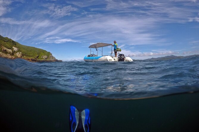 Diving With Turtles in Floripa - Key Points