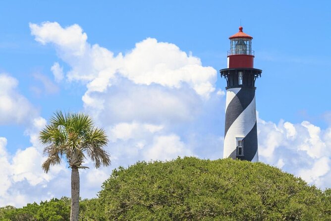 Dolphin and Wildlife Adventure of St. Augustine - An In-Depth Look at the Experience