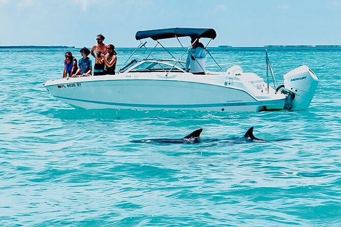 Dolphin Snorkel & Sandbar - Key Points