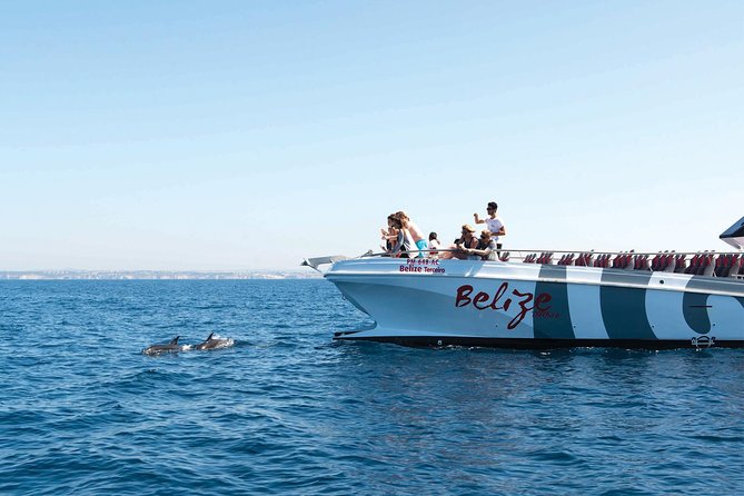 Dolphin Watching and Cave Boat Cruise Review - About Your Stay