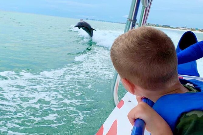 Dolphin-Watching Speedboat Cruise in Destin Harbor - An Overview of the Experience