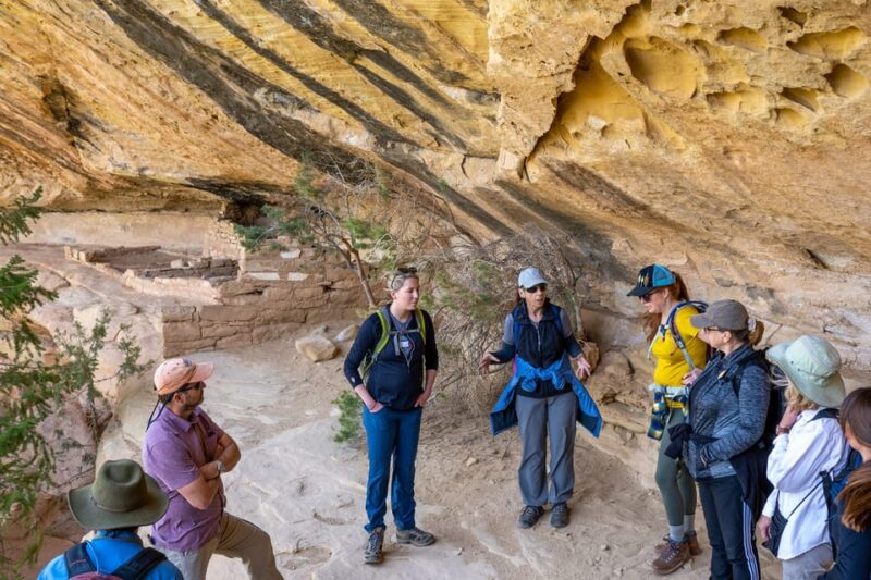 Durango Mesa Verde Express Tour With Tickets to Cliff Palace - Exploring the Durango Mesa Verde Express Tour With Tickets to Cliff Palace