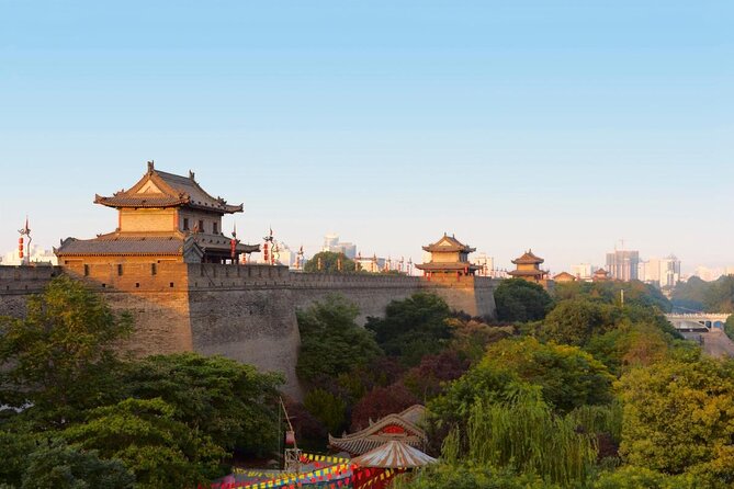 Essential Xi'an Private Day Tour Including Lunch - Introduction