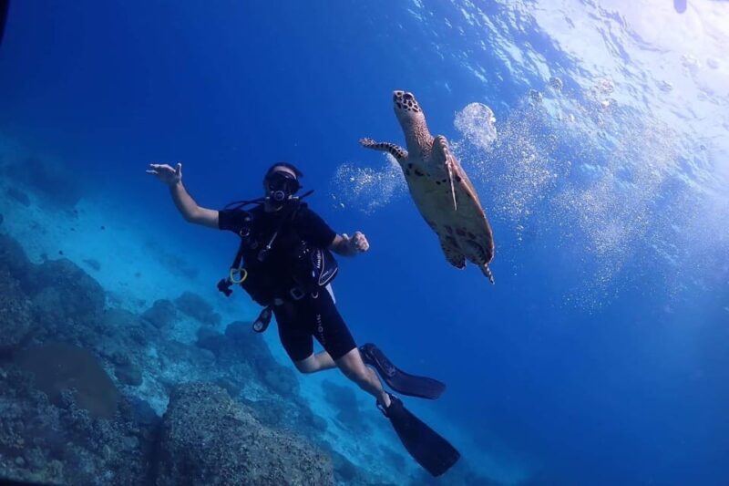 Explore Scuba diving at Racha Yai Island from Phuket - Key Points