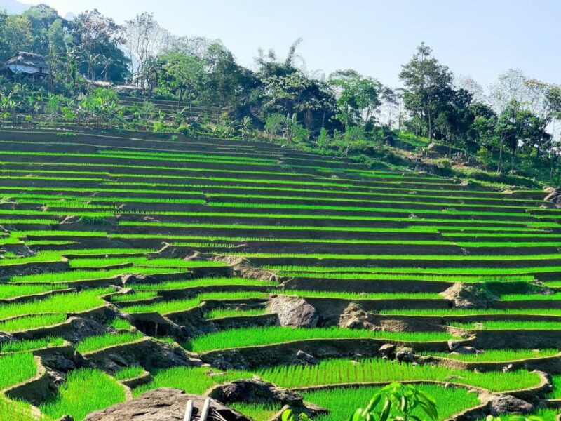 From Hanoi to Pu Luong: 2-Day Trip in Ethnic Villages - Key Points