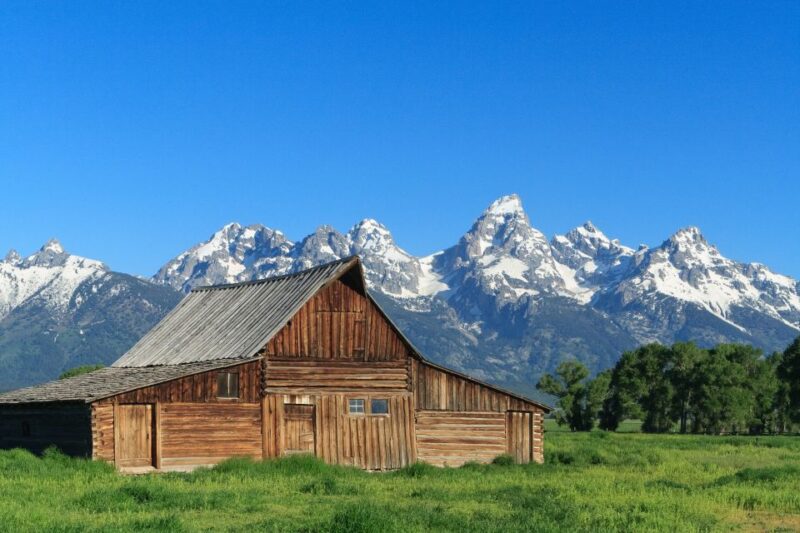 From Jackson Hole: Half-Day Grand Teton Wildlife Tour - What to Expect from the Half-Day Grand Teton Wildlife Tour