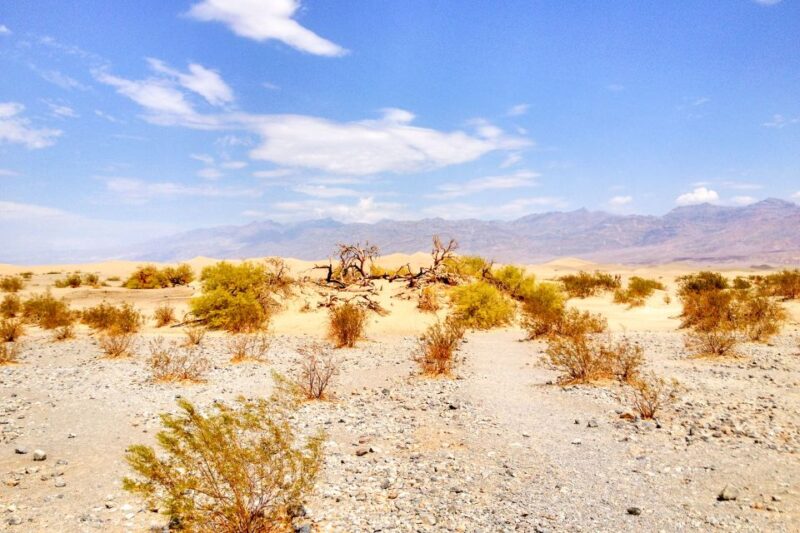 From Las Vegas: Ghost Town Wild West Adventures Day Trip - Introduction: A Wild West Day from Las Vegas