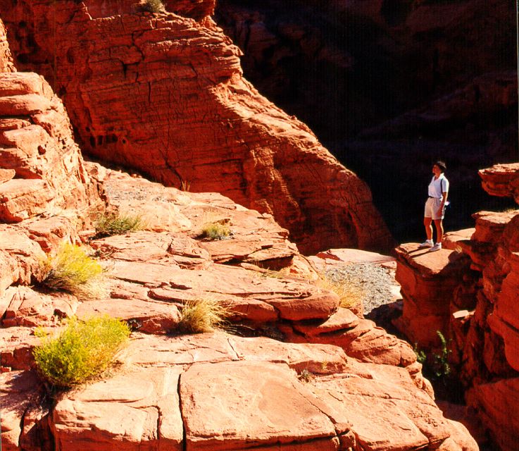 From Las Vegas: Valley of Fire Tour - Key Points
