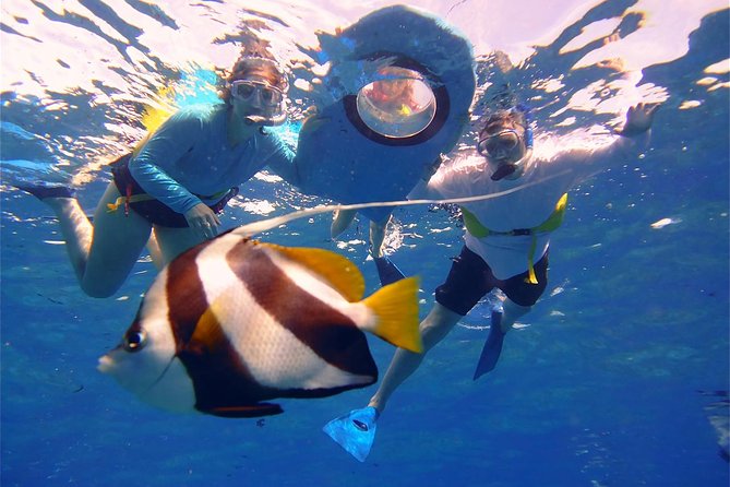 From Maalaea: AM Turtle Town Snorkel Aboard Quicksilver - Key Points